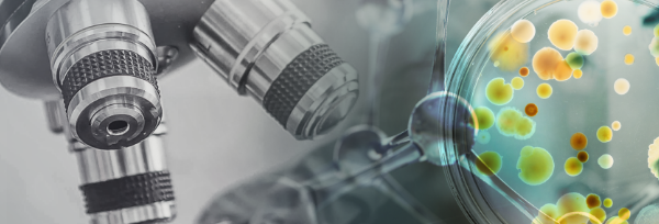 NewAmsterdam Pharma and the Menarini Group Sign Licensing Deal to ...