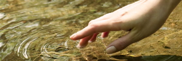 Circulating Tumor Cell detection by Menarini Group’s CELLSEARCH® System ...